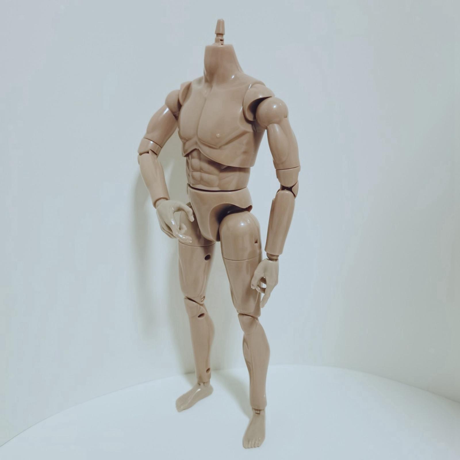 1:6 Scale Male Action Figure Male Body Sketch Model 30cm Model Toy ...