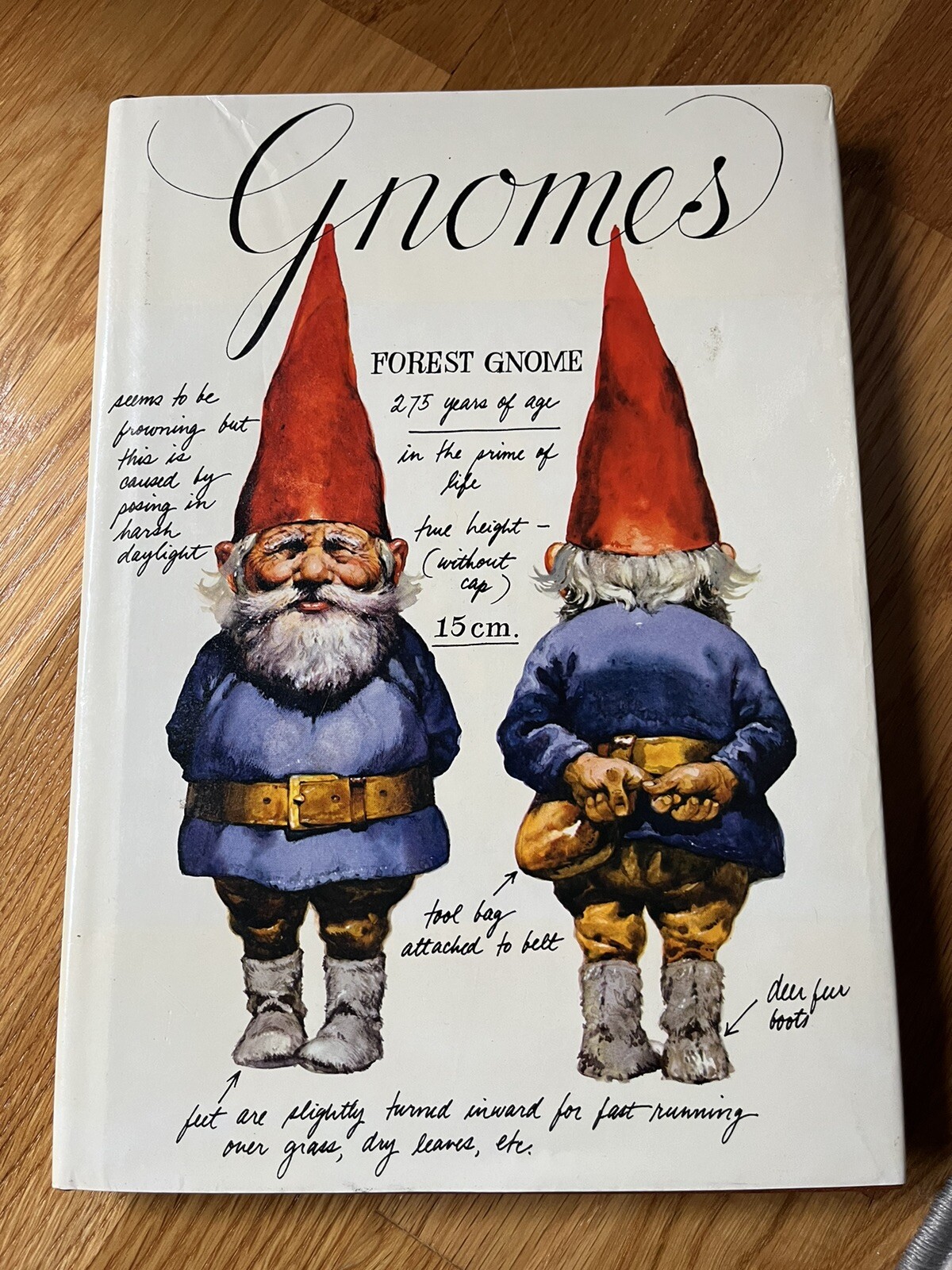 Gnomes by Wil Huygen (1977, Hardcover, Anniversary) for sale online | eBay
