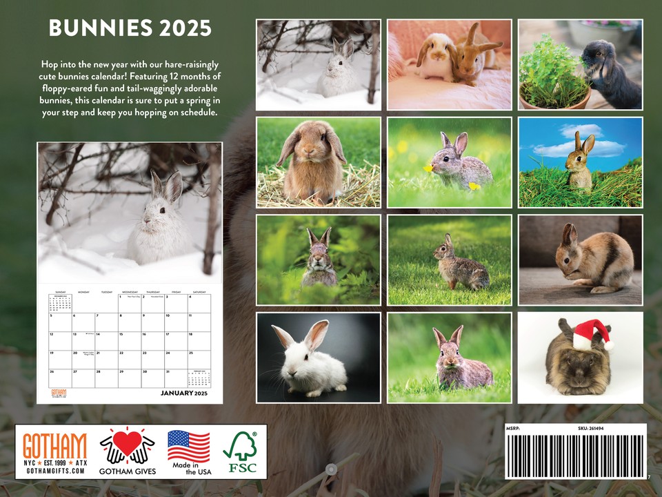 Bunny Calendar 2025 Bunnies Rabbit Gifts Monthly Wall Calender 12 Month ...