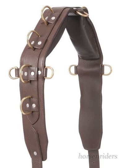 Professional Heavy Leather Horse Training Surcingle | eBay