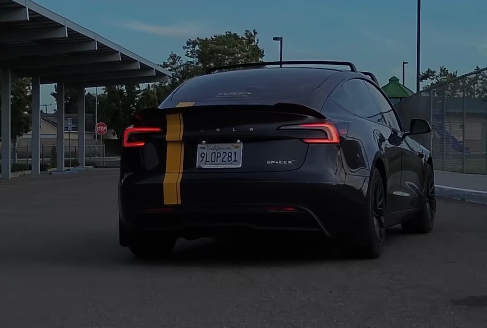 2017-2025 Tesla Model 3 Full Double Stripe Decal Kit Hood and Rear ...