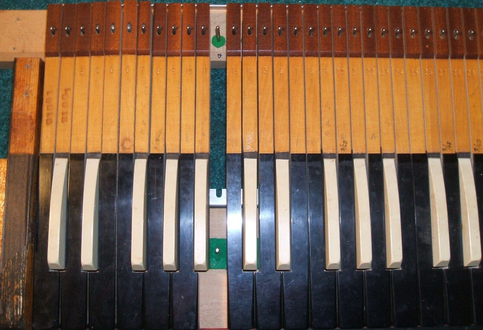 Vox JMI V301J Continental Organ Wooden Key - Type B - Choose 1 - Most ...