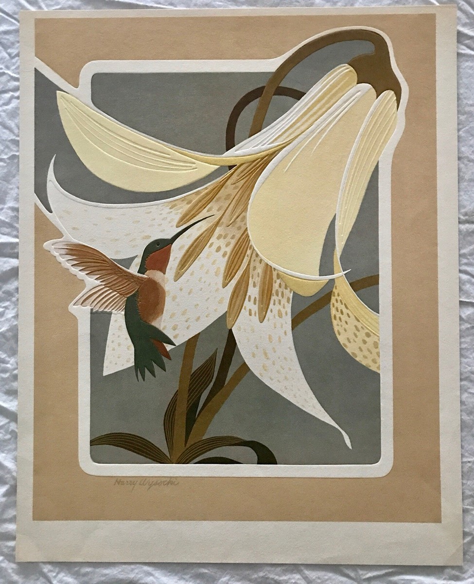 Nature Bird Hummingbirds Flowers An Allen's Hummingbird Perches In The