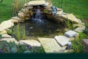 Custom Pro Complete Pond Water Garden Kit With Waterfall - 5' x 6 ...