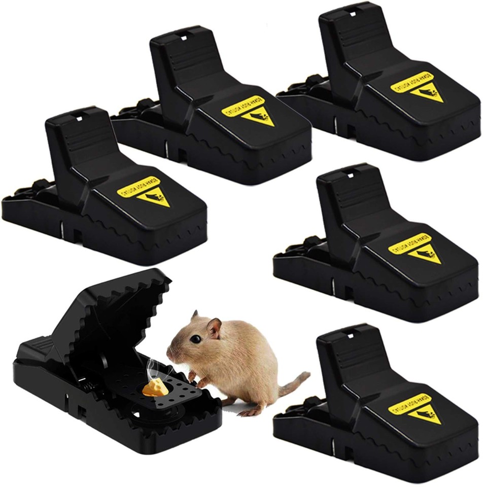 Mouse Traps Mice Traps 6 Pack Mouse Traps For Indoors That Kill ...