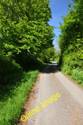 Photo 6x4 West Somerset : Country Road Withiel Florey A country road ...