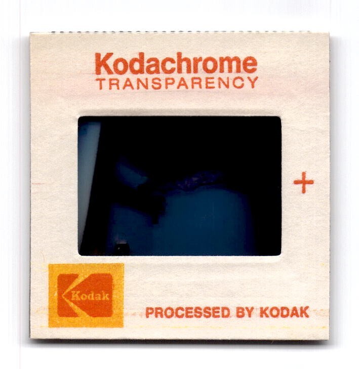 Pretty Woman Laying Bed Risque Blonde 35mm Slide 1970s Kodachrome | eBay