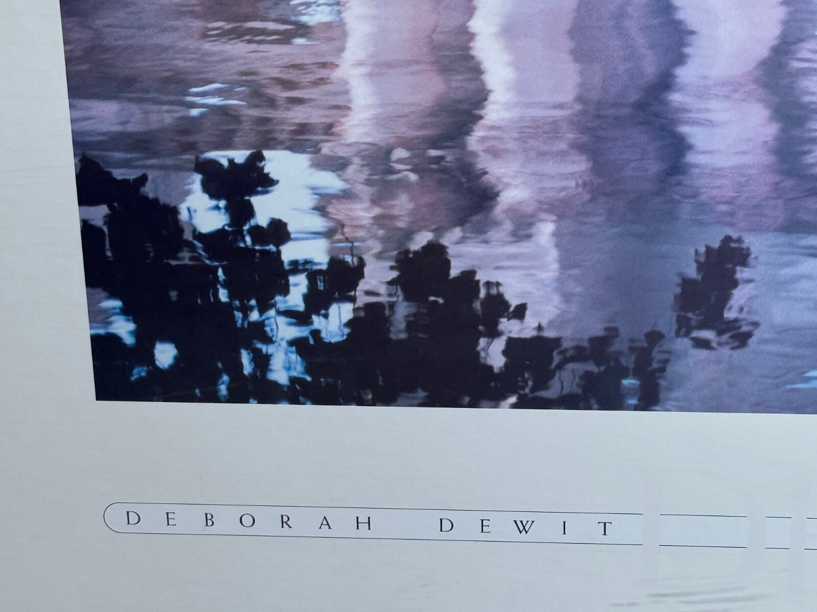 DEBORAH DeWIT "29x26.5" framed poster ** Editions Ltd/Palace of Fine ...