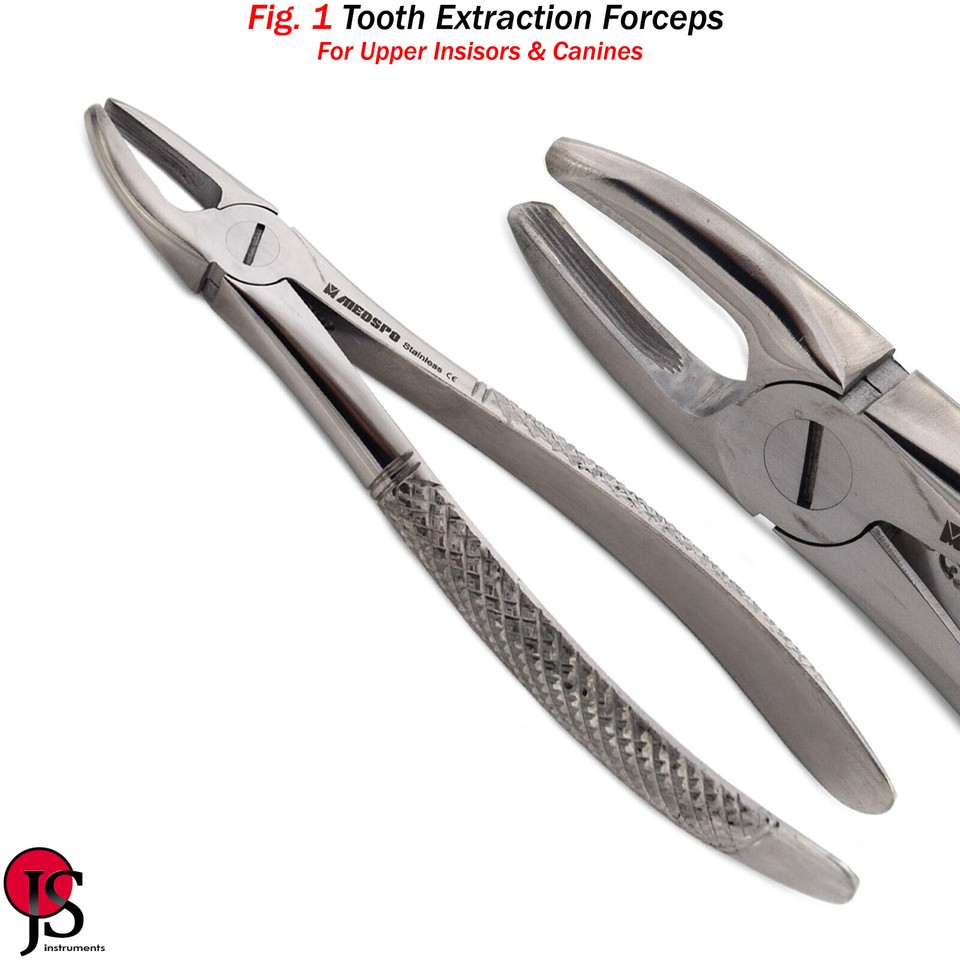 Dental Extracting Extraction Forceps Surgical Upper Lower Molars Tooth ...