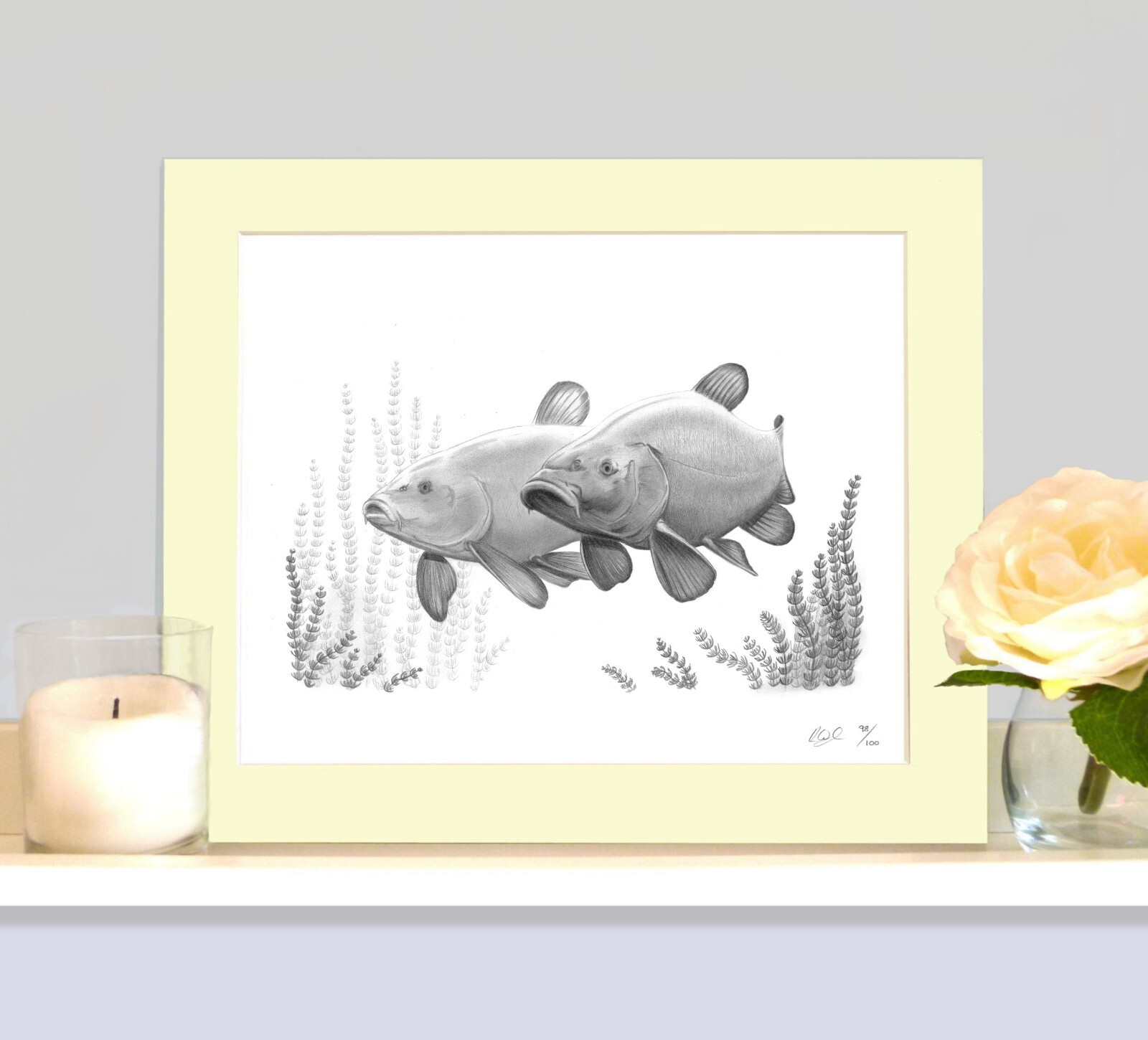 TENCH Art Drawing Print MOUNTED Picture Present For Tench Angler ...