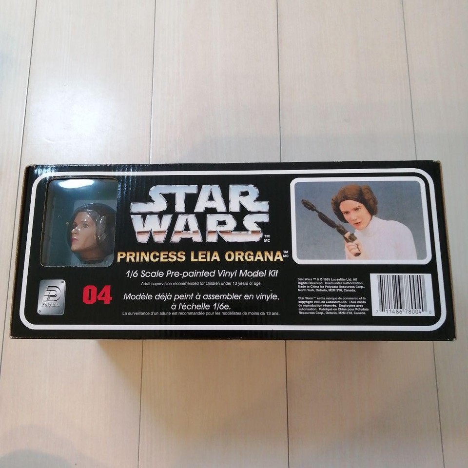 Star Wars 1/6 scale soft vinyl kit Princess Leia Organa | eBay