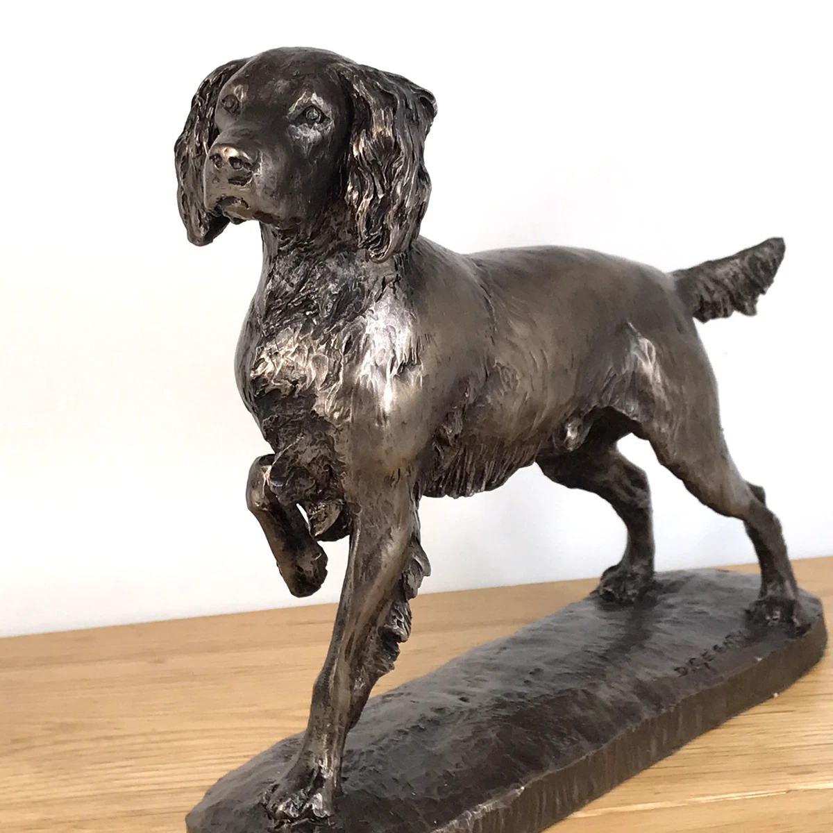 Welsh Springer Spanial Bronz