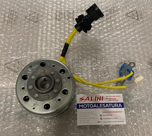 Volant D'Inertie Complet Stator Piaggio X9 Evolution 125 Cc 2005/2006 ...