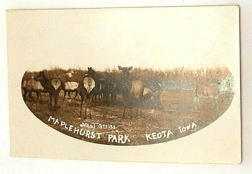 PKMs Maplehurst Park Keota Iowa Postcard | eBay