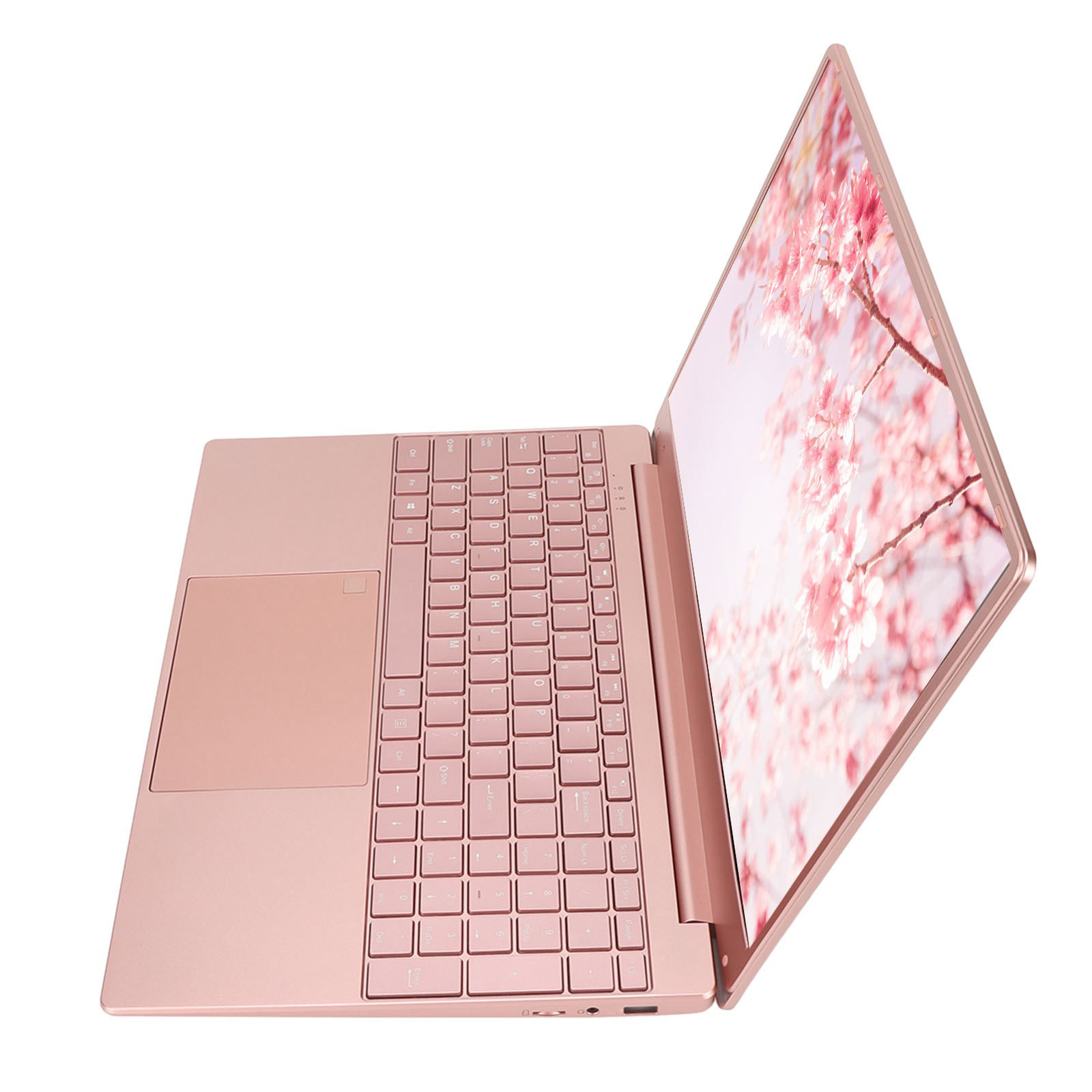 15.6in Laptop For N5095 CPU Pink Mini Laptop For Window11 With Fingerp ...