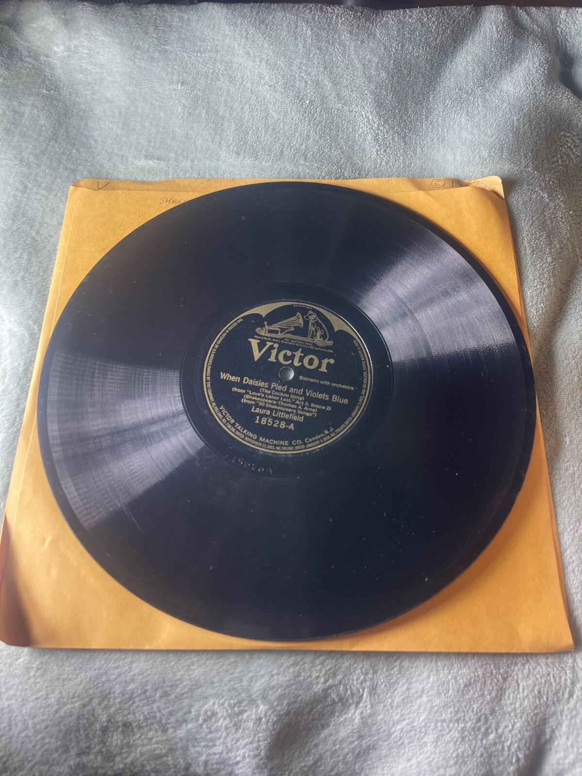 VICTOR Record 78 rpm 18528 WHEN DAISIES PLED & VIOLETS BLUE | eBay