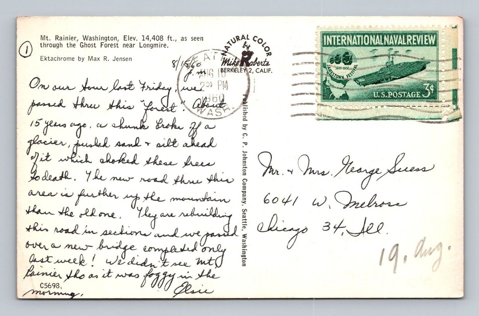 Washington WA Mt Rainier View Through The Ghost Forest Longmire Vintage ...