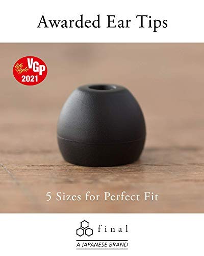 Final E3000 In-Ear Monitor Earphones FI-E3DSS Earbuds IEM Hi-Fi Sound Quality JP | eBay