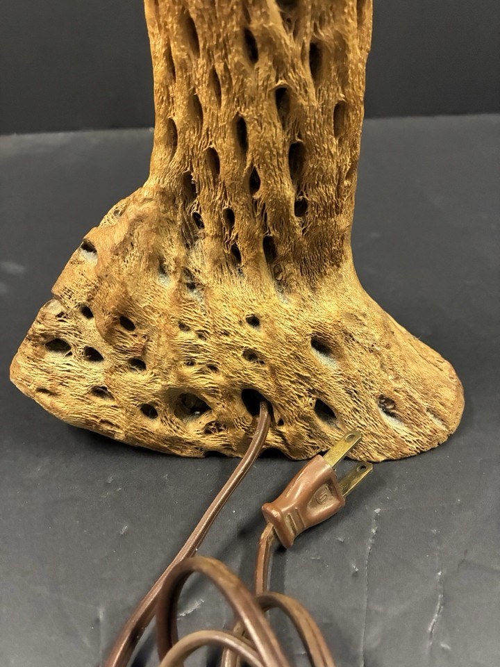 Vintage Midcentury Dried Cholla Lamp Cactus Skeleton Midwest 9” (No ...