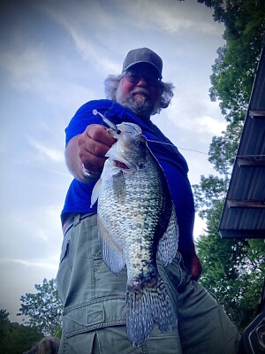 The LiL TUFFY Swimbait-Plastic Bait Made for Crappie The Li'L TUFFY ...