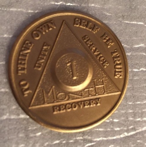 Set of 10 Alcoholics Anonymous 30 Day Recovery Coin Chip Medallion ...