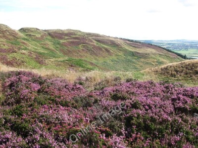 Photo 6x4 Benarty Hill, Fairnsdale Ballingry On Benarty Hill looking ...