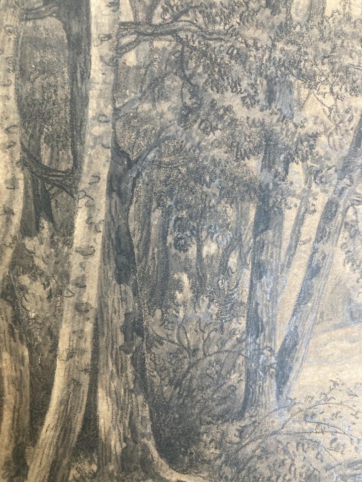 Very Nice Drawing Xixth 1850 Mine Lead Pencil Landscape Forest Antique ...