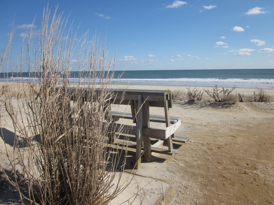 35 YEARS LAVALLETTE NEW JERSEY SEASONAL BEACH BADGES/TAGS | eBay