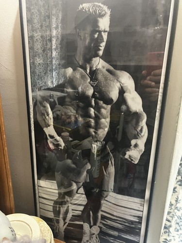 Lee Priest Famous Rare Super Rare Poster Art Bodybuilding Rarest ...