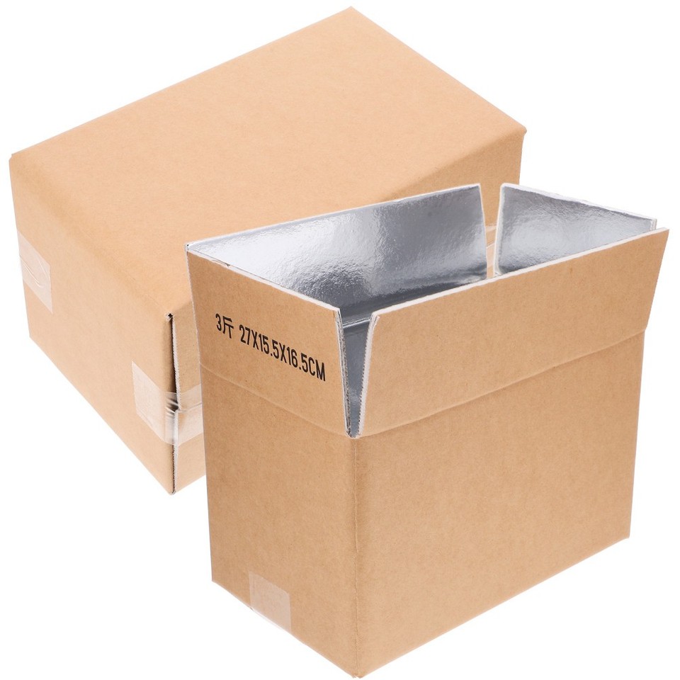 2 Pcs Foam Cooler Box Insulated Shipping Boxes Moving Kits for Mailing ...