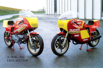 Ducati 600 TT2 TT Formula 2 factory & prod racers - 1981 - motorcycle ...
