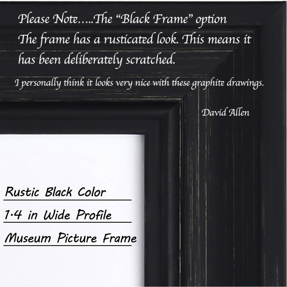 Drawing of 1960 Ford Thunderbird Convertible Car Graphite Pencil Sketch ...