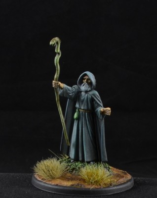 Painted Castle of Deception, Male Wizard from Dark Sword Miniatures ...
