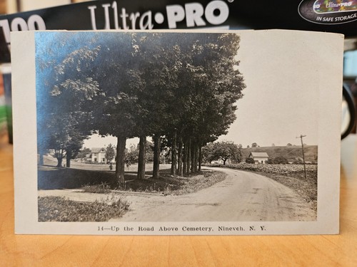 1909 Nineveh New York RPPC Real Photo Post card NY Broome COUNTY nr ...