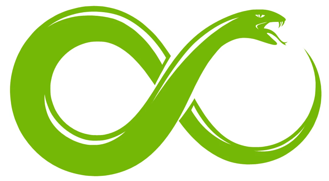 Ouroboros Snake Infinity
