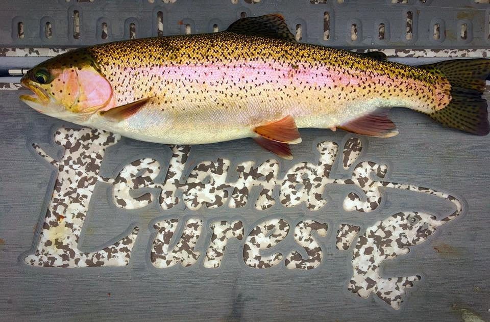 Leland Lures Trout Magnet Neon Softbait Kit 85pc | eBay