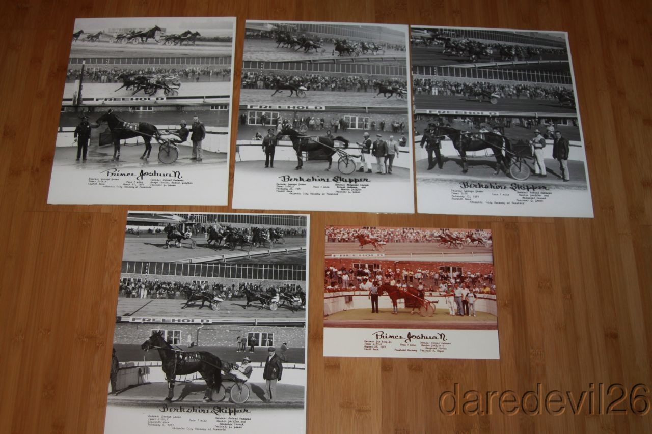 Vintage 1981 Harness Horse Racing Freehold Speedway Winners 8x10 11x14 ...
