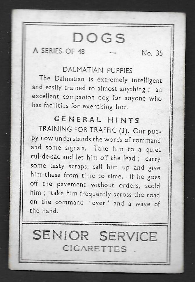 Dalmatian Puppies from series Dogs by Senior Service Cigarettes card ...