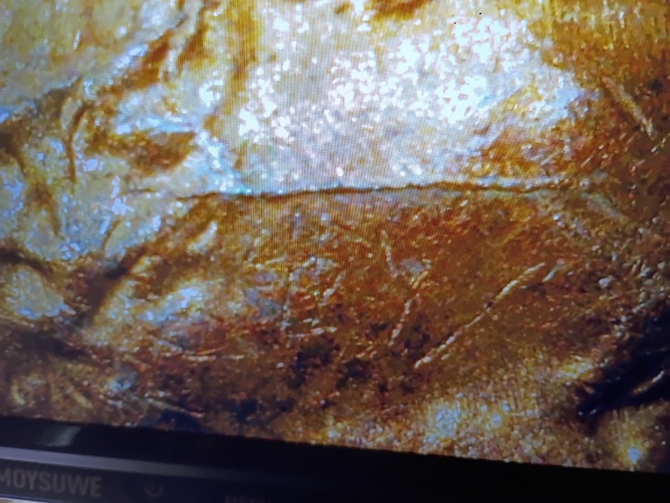 1955 Lincoln Wheat Cent W/ Obv Die Breaks On Lincs Head W/ Considerable ...