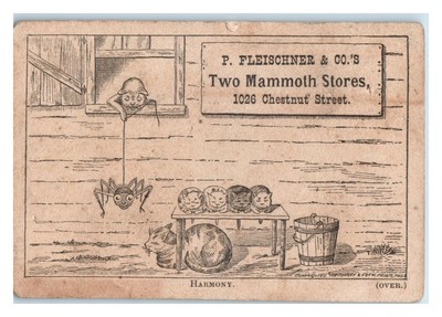 Cat Lowers Spider, P. Fleischner & Co. Stores Philadelphia Victorian ...