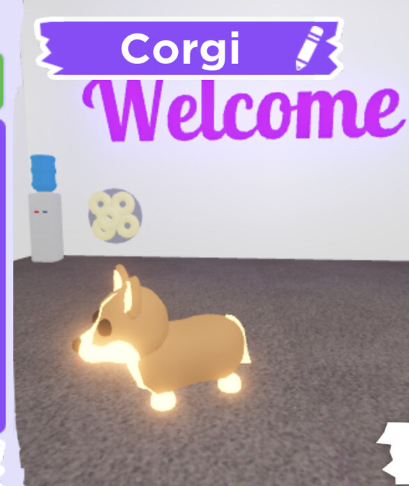 Neon Corgi | eBay