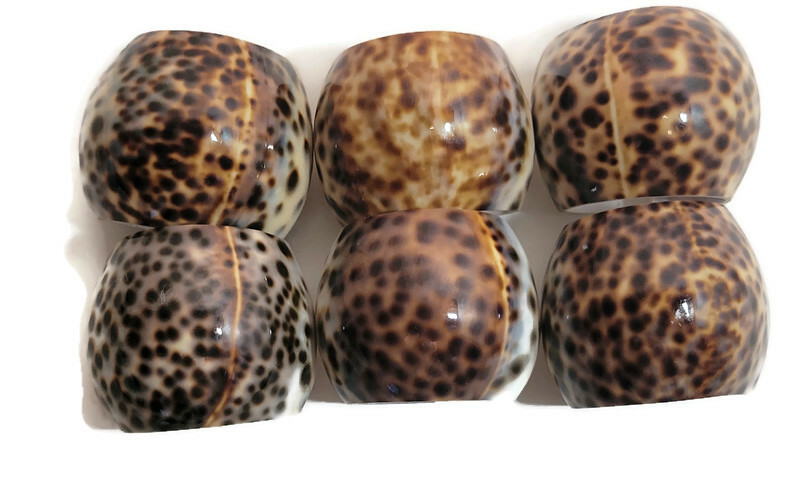 Real Natural Sea Shell Tiger Leopard Cowrie Napkin Holder Rings Table ...