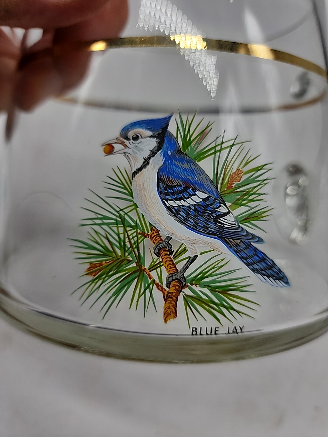 Vintage West Virginia Glass Co American Songbirds Pitcher with Cardinal ...