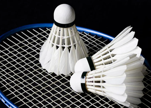 Shuttlecock Badminton Shuttlecocks Feather Shuttle Sale New White Grade ...