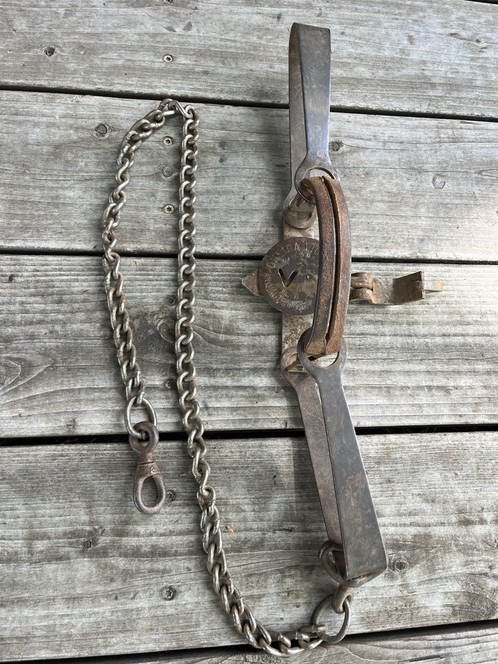 Vintage #3N Oneida Victor Double Long Spring Trap Property Of US Base ...