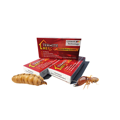 Termite Baiting System Malaysia Termites Info