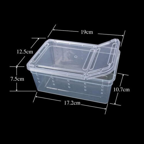 Reptile Transport Container Box Plastic Snake Breeding Feeding Box 2 ...