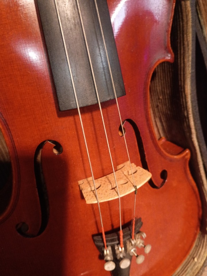 Vintage 1964 Ernst Heinrich Roth 4/4 Violin w/ Vintage Lifton Case ...