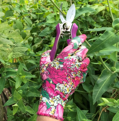 Ladies Secateurs Mini Pruner Set. Gardening Pruners - Best Ladies ...