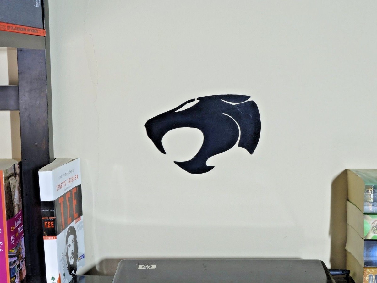 Thunder Cats Computer Case